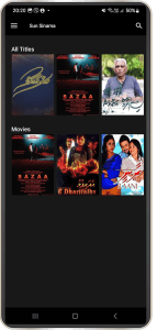 SSPlay - SS Networks Pvt Ltd